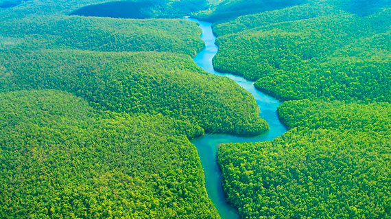 History of the Amazon River | Amazon Rainforest | Voyagers Travel
