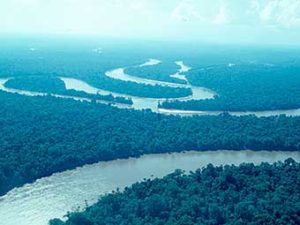 Where is the Source of the Amazon? | Amazon River Cruises