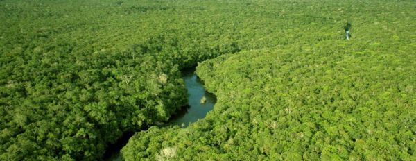 Amazon River Wonders: Your Ultimate Travel Guide