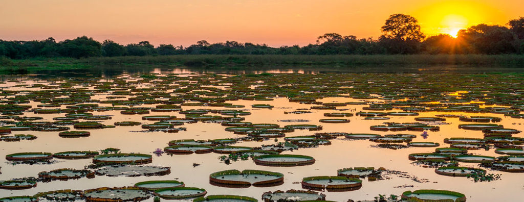 Brazil 360º Tour | Voyagers Travel Tours | Amazon Cruises