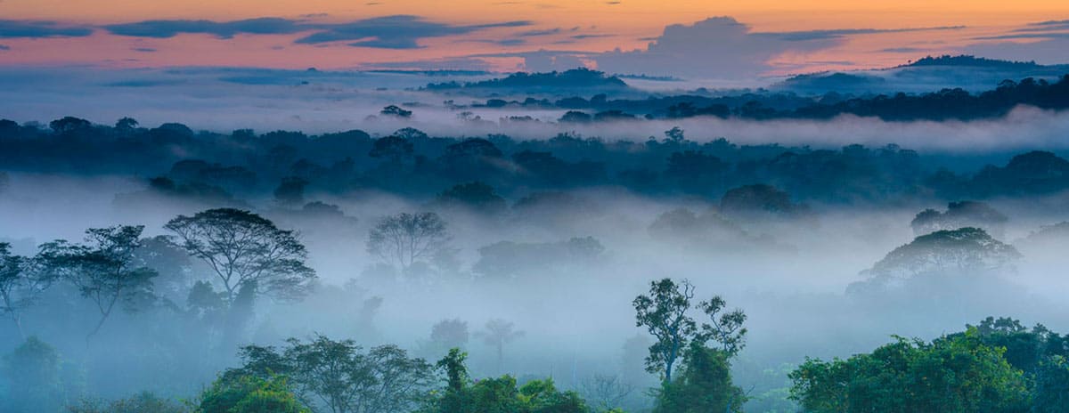 Brazil Amazon Tours | Amazon Jungle Tour | Amazon Cruises