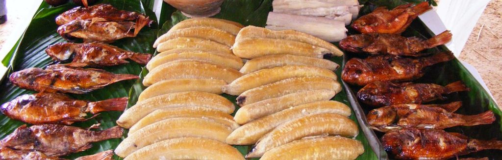 Amazon River Cruises: Amazon Tours in Peru, Ecuador, Brazil & Bolivia