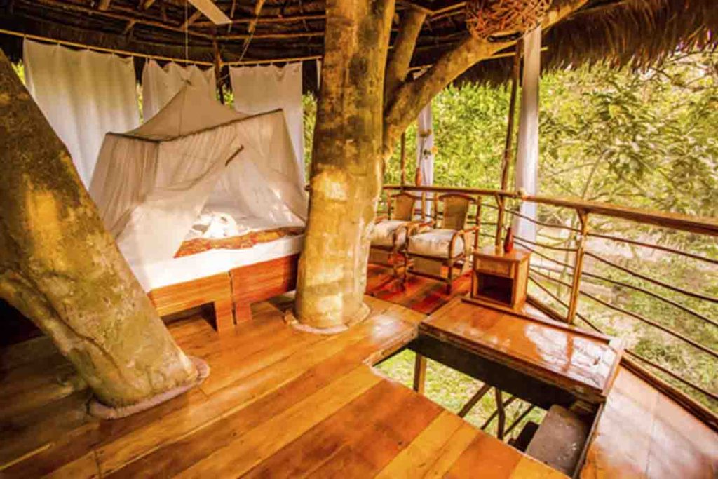 Peru: Treehouse Lodge | Amazon Jungle Lodge | Amazon Cruises