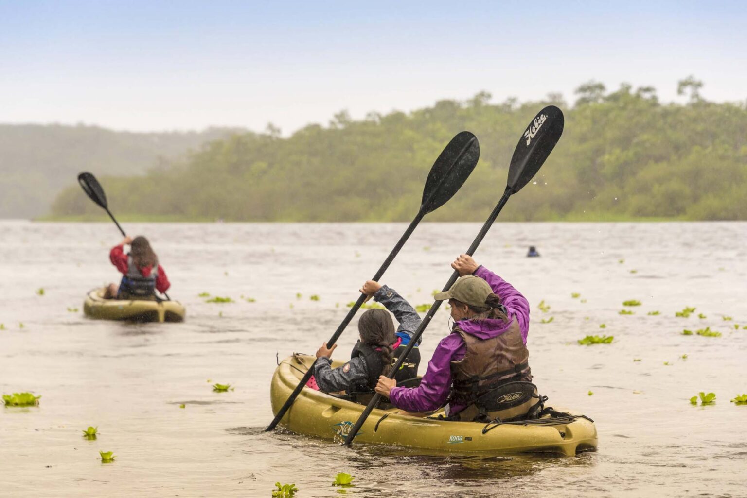 Amazon River Cruise | Grand Amazon Expedition, Iberostar