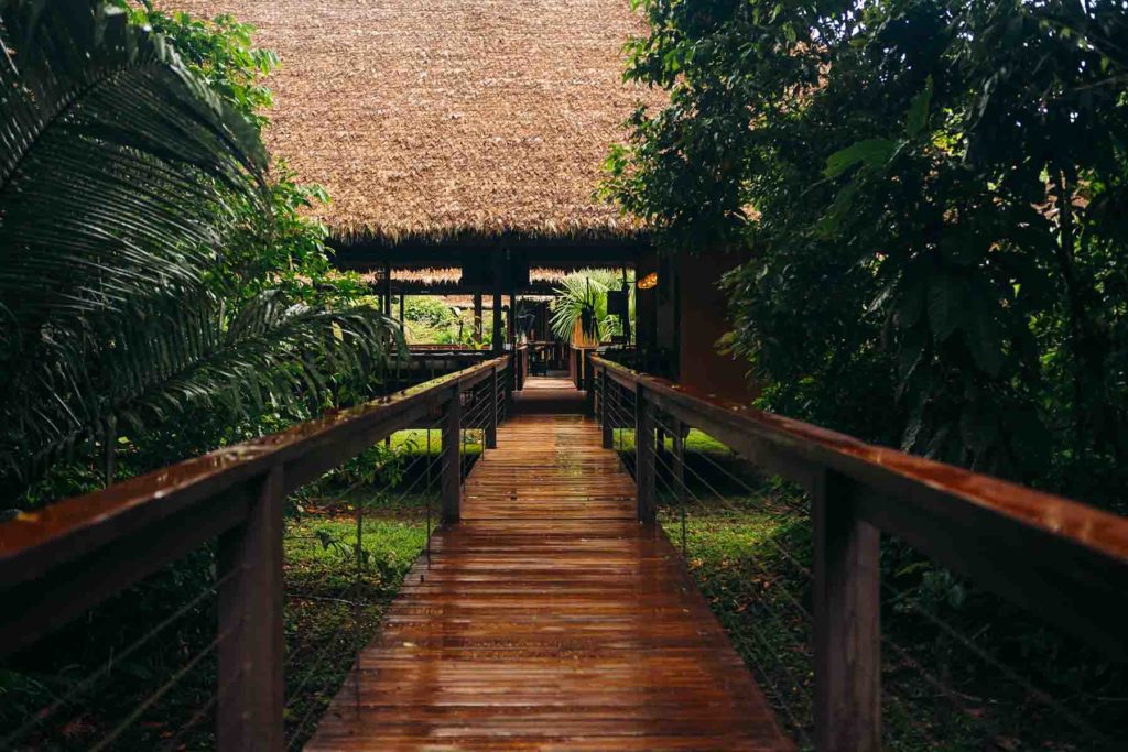 Peru: Tambopata Lodge | Amazon Rainforest Lodge | Amazon Cruises