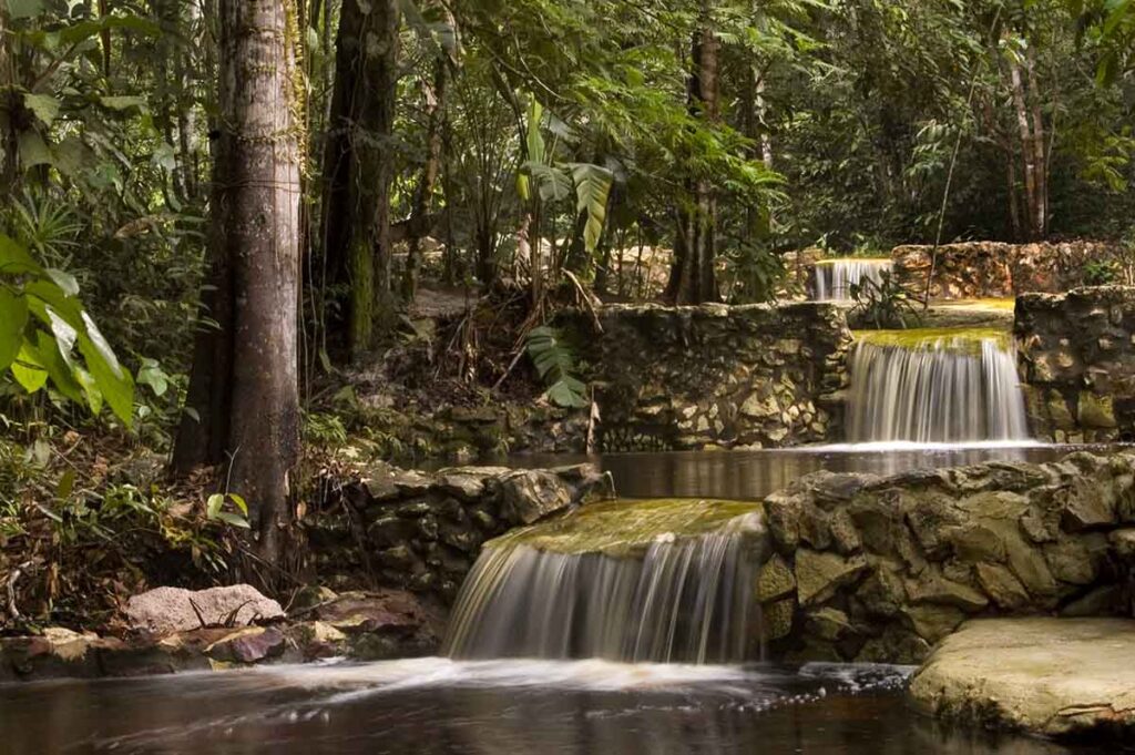 Brazil: Amazon Ecopark | Amazon Jungle Lodge | Amazon Cruises