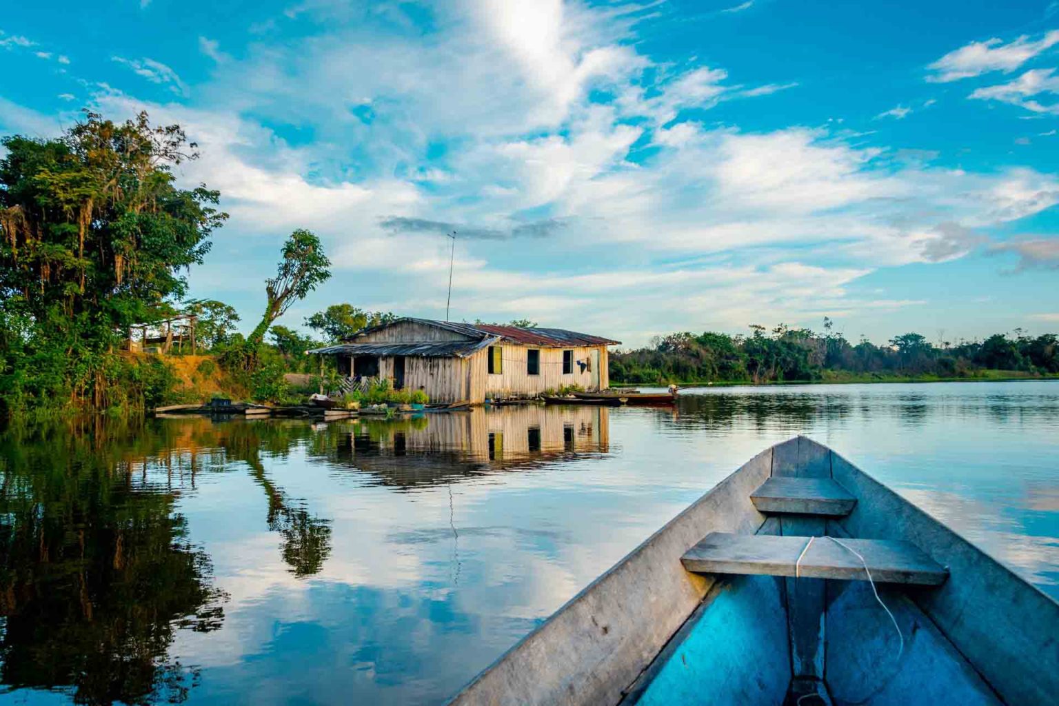Explore the Amazon Rainforest: Top 4 Countries to Visit