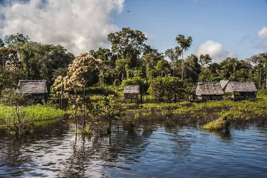 Exploring the Amazon: A Riverboat Adventure | Amazon Cruises and Lodges