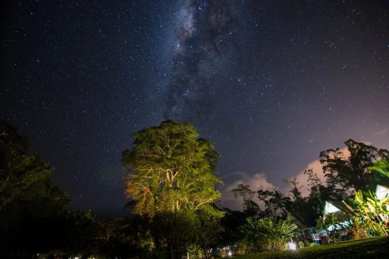 Pure Amazon: Low water season 5D/4N Experience, starting on Nauta ...