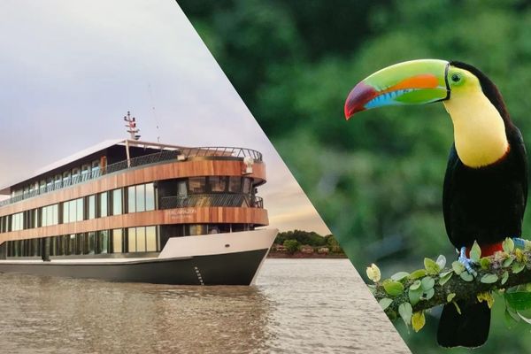 Pure Amazon: a new voyage of luxury and discovery through the Peruvian ...